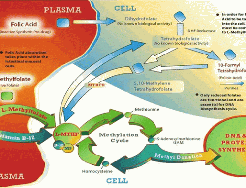 What is phase conjugation? - Theraphi